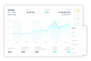 ePROMAK NEXT – PROMAK platforma inwestora